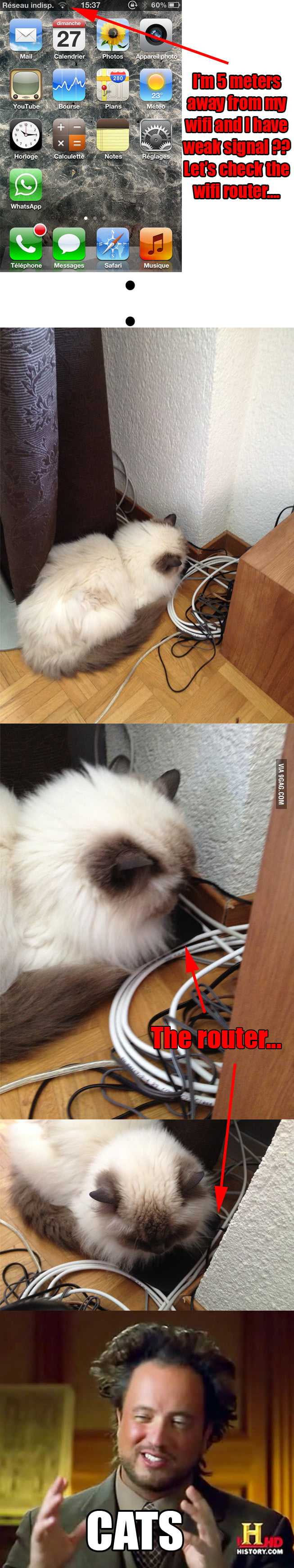 Cats... - 9GAG