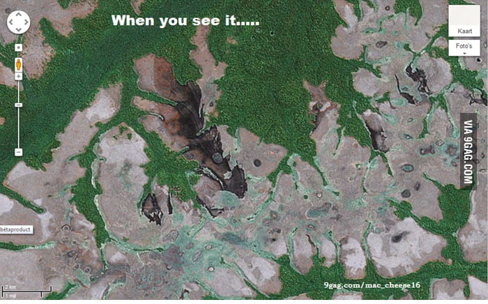 You will shit brix - 9GAG