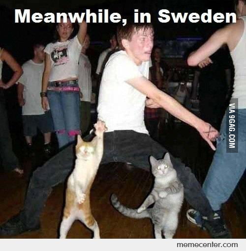 Meanwhile in Sweden - 9GAG