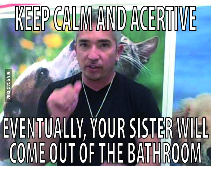 Dog Whisperer's advice - 9GAG