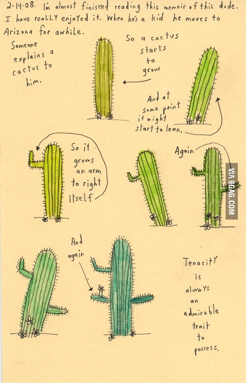How does a cactus work. explained - 9GAG
