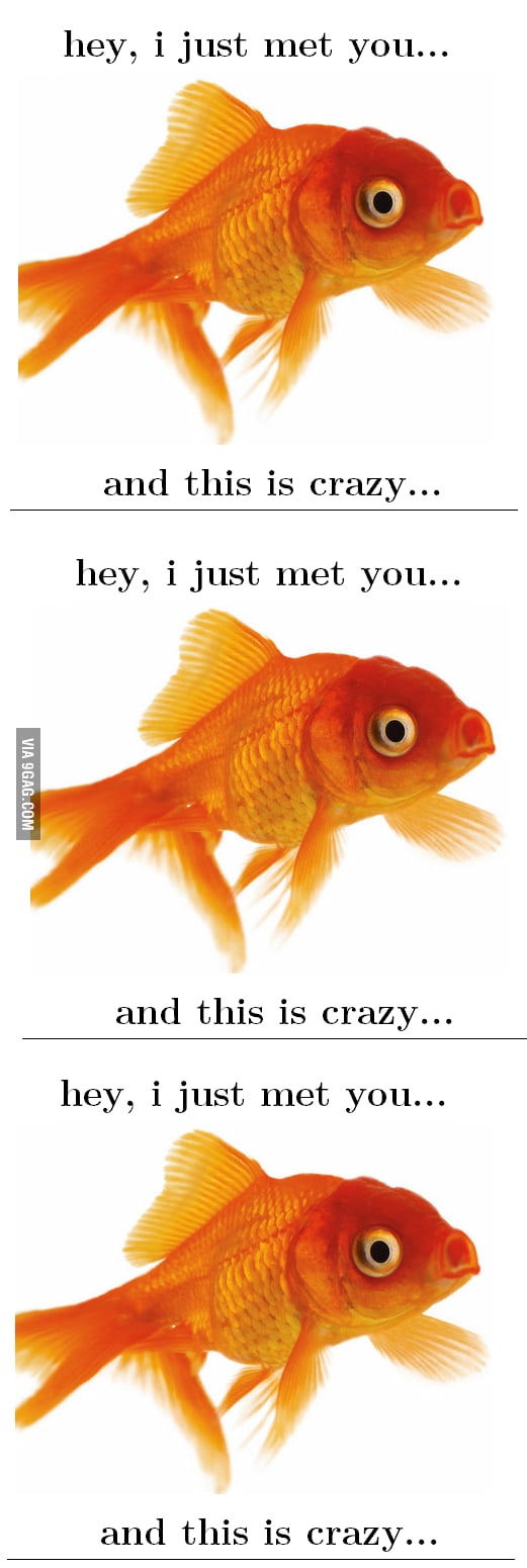 Stuck at infinite loop - 9GAG