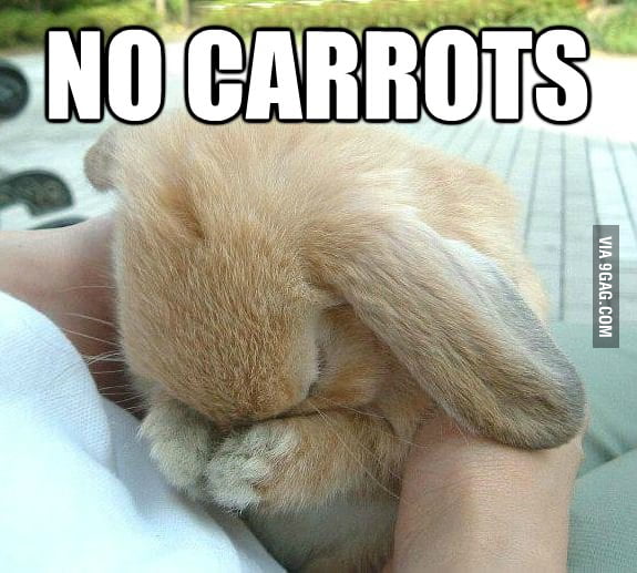 No carrots... - 9GAG