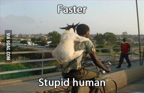 Silly humans - 9GAG