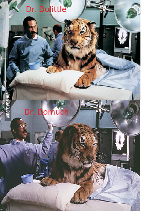 Dr. Dolittle/much - 9GAG