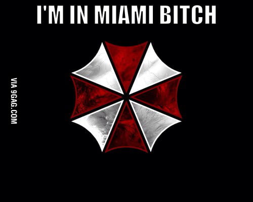 I'm in Miami - 9GAG