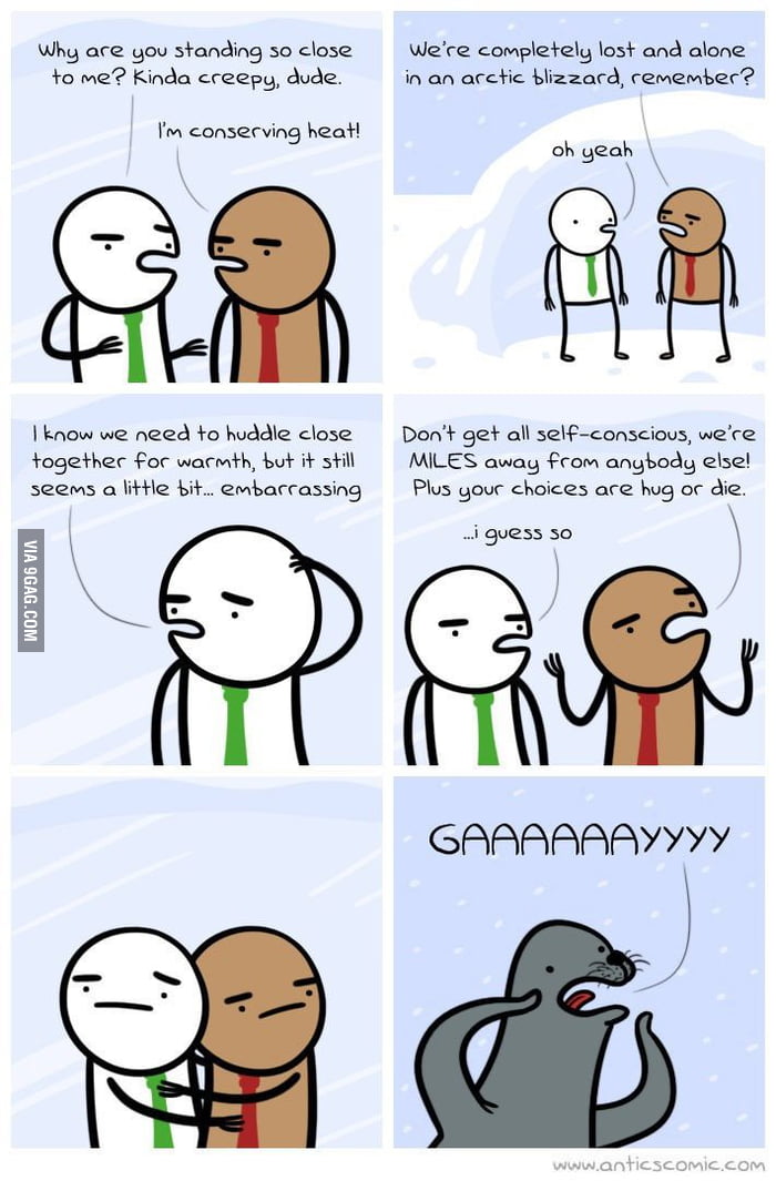 Origin of the gaaaay seal - 9GAG