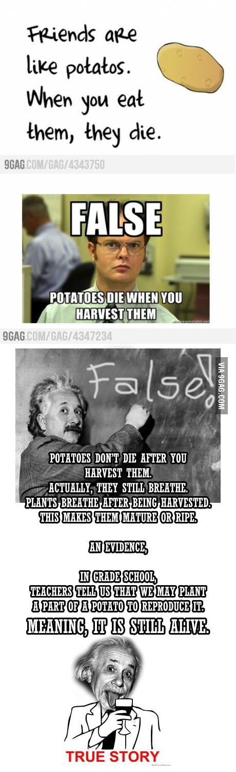 FALSE GUY IS WRONG - 9GAG
