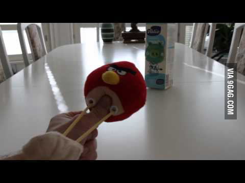 Angry Birds First Person - 9GAG