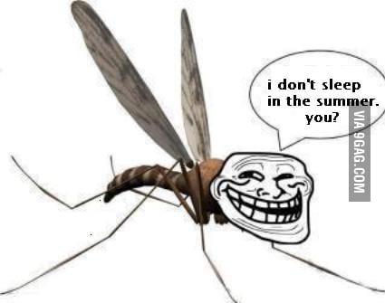 Trolling mosquito... - 9GAG