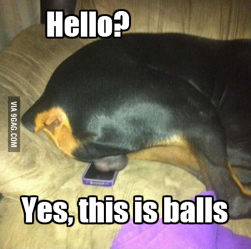 Yes, this is balls - 9GAG