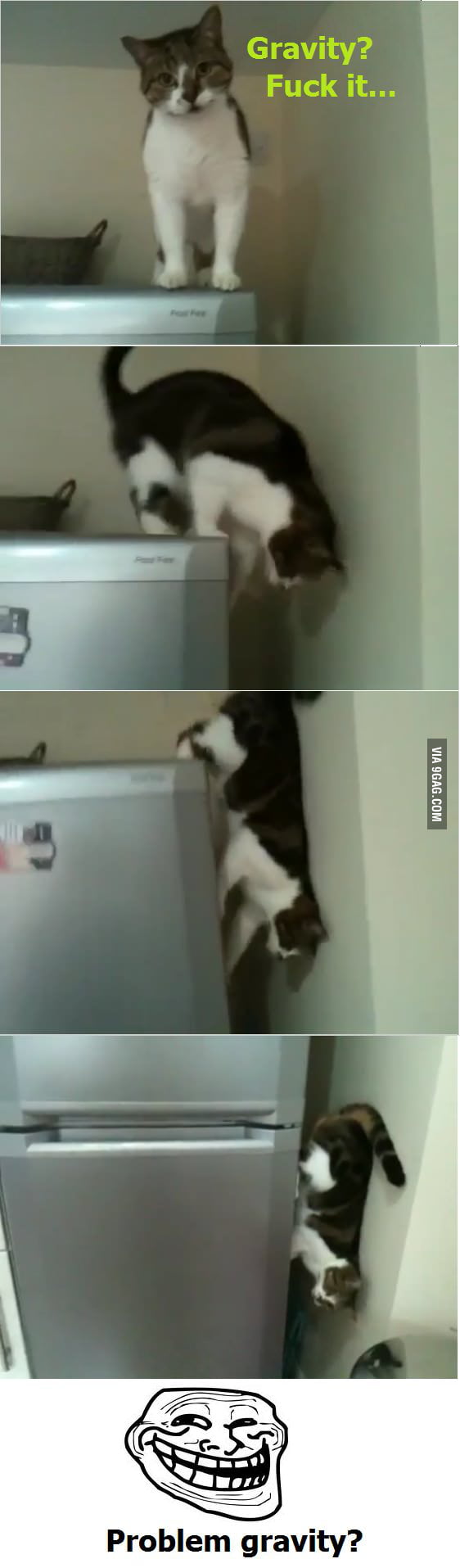 Suck on that, gravity! - 9GAG