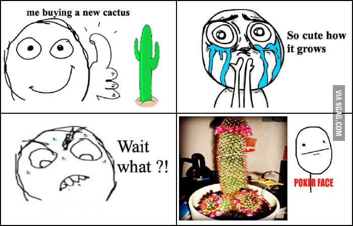 A random cactus... - 9GAG