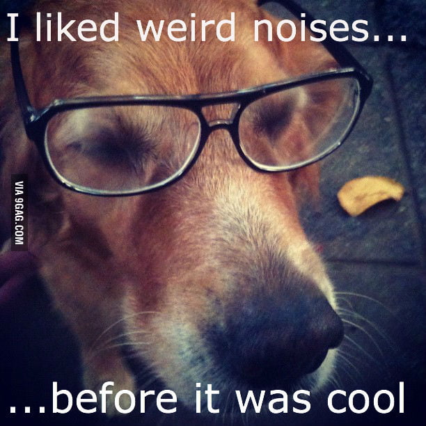 Hipster Dubstep Dog - 9GAG