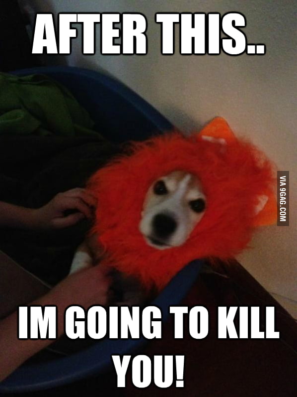 Mad dog is mad.. real mad. - 9GAG