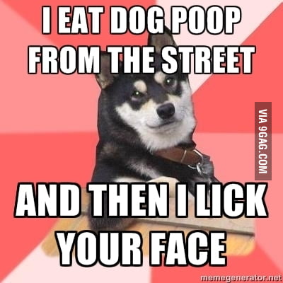 Nice dog - 9GAG
