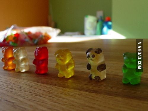 Limited Edition Panda Gummy Bears. - 9GAG