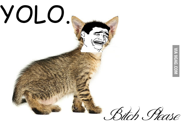 YOLO? Btch Pl0x. - 9GAG