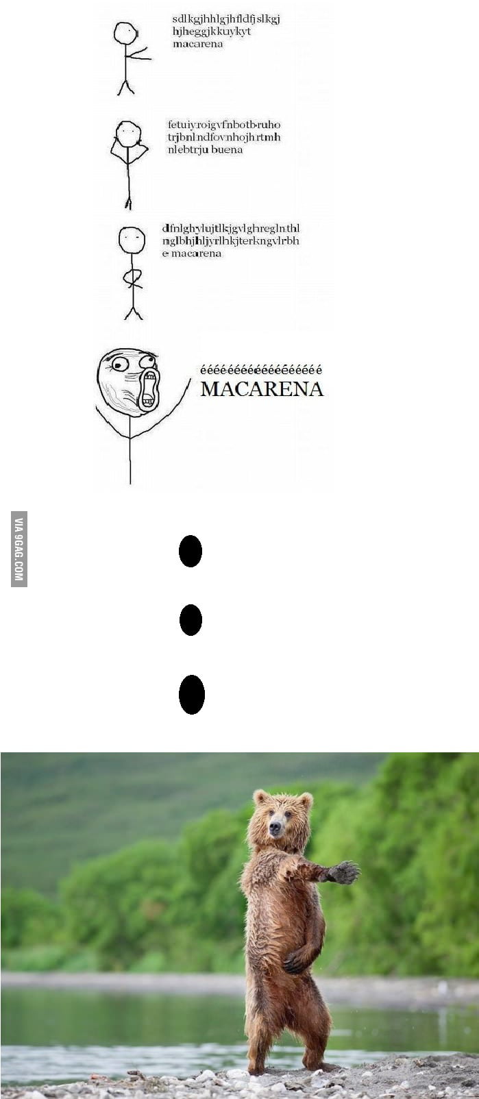 Macarena bear - 9GAG