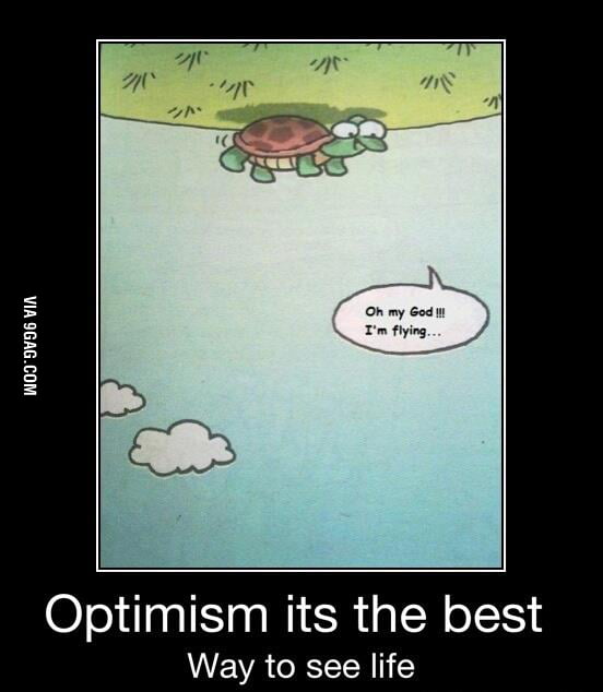 Optimism: A turtle can actually fly… - 9GAG