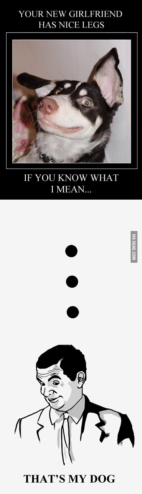 If you know what I mean dog - 9GAG