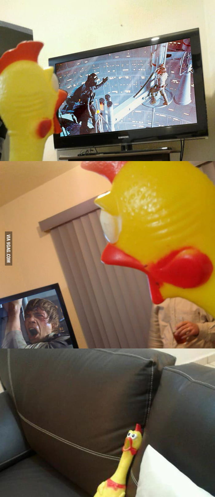 Dramatic chicken feels the drama - 9GAG