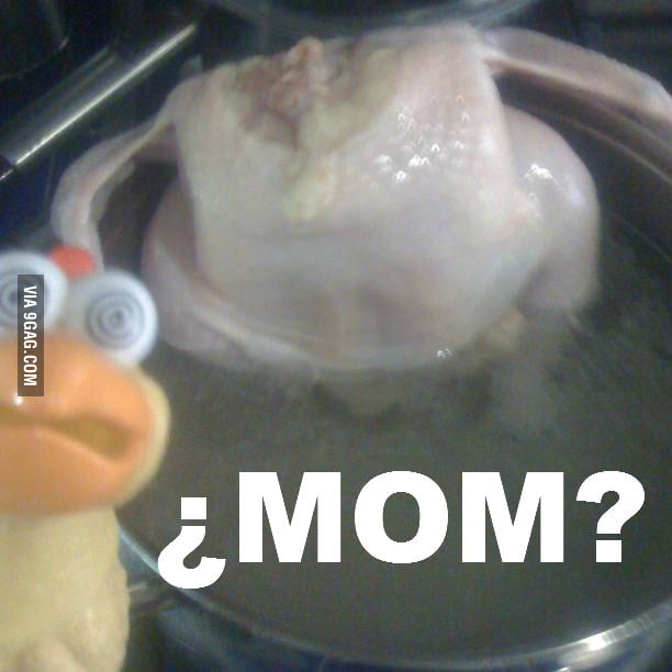 Dramatic chicken - 9GAG