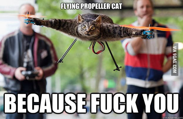 Flying Propeller Cat - 9GAG