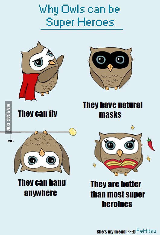 Why owls can be Super-heroes - 9GAG