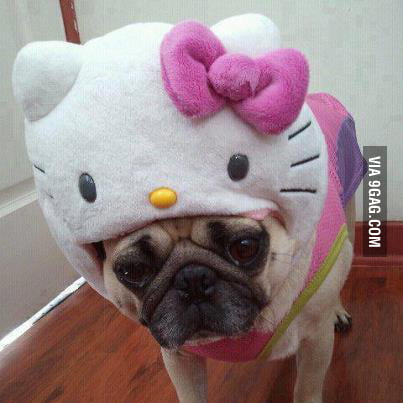 Hello kitty, wait wha... - 9GAG