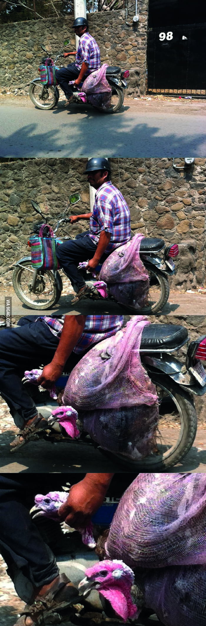 Meanwhile in Mexico.. - 9GAG