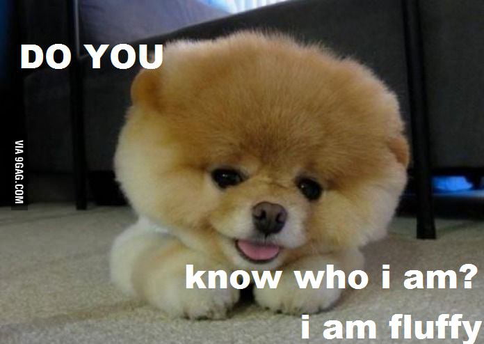 Do you know who I am? - 9GAG