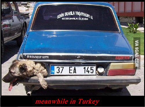 Meanwhile in Turkey - 9GAG