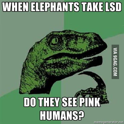 Elephant on LSD? - 9GAG