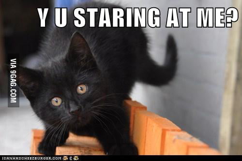 Y U KEEP STARING AT ME??? - 9GAG