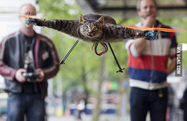 Catocopter - 9GAG