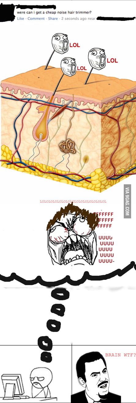 WTF Brain? - 9GAG
