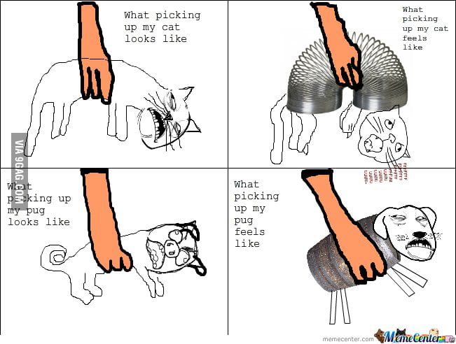 Cat vs dog rage - 9GAG