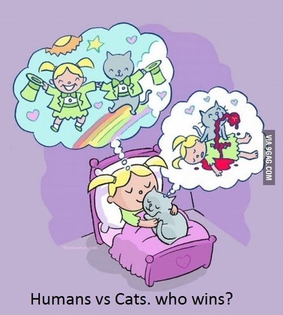 Cats vs Humans, WHO WINS? - 9GAG