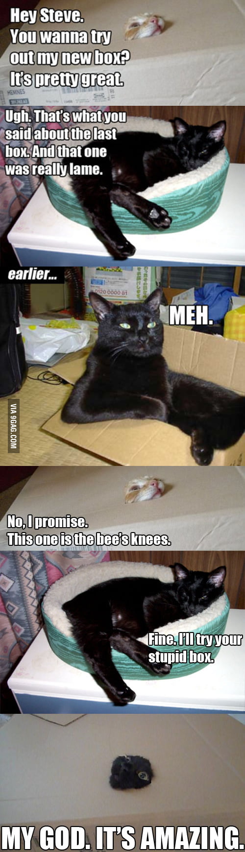 Try out my new box? - 9GAG