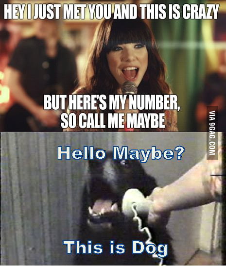 Hello Maybe? This is Dog - 9GAG
