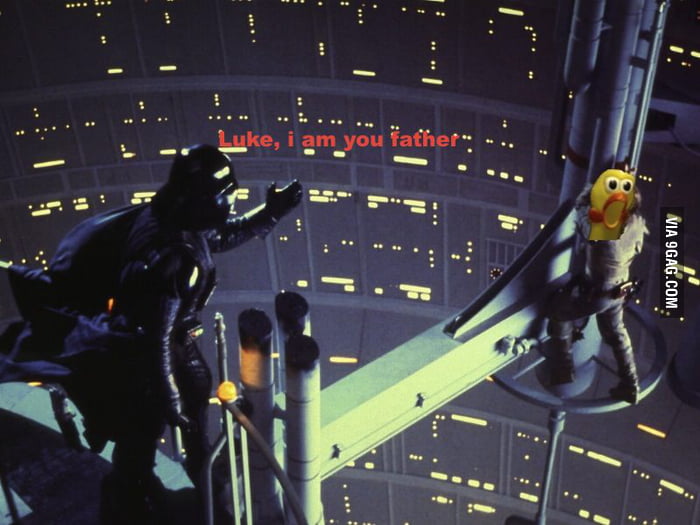 Dramatic chicken being dramatic - 9GAG