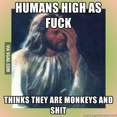 Humans high as f**k - 9GAG
