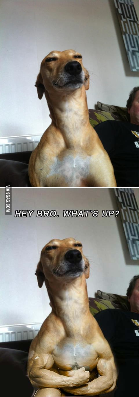 Hey bro - 9GAG
