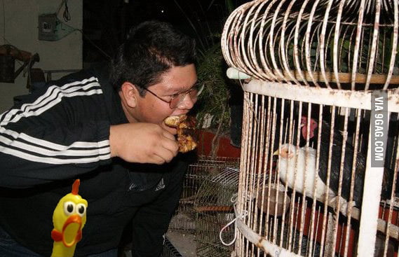 Dramatic chicken :O !!! - 9GAG