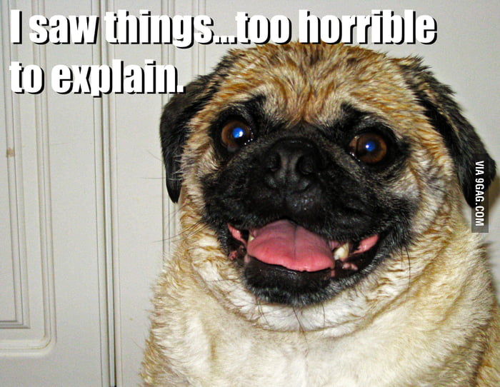 Horrible things - 9GAG