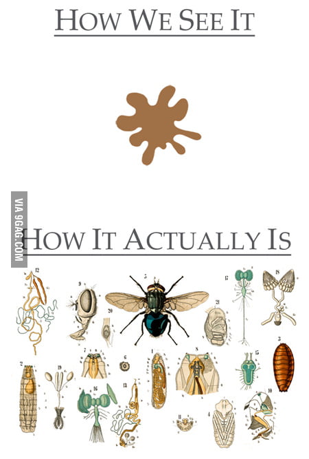 Life is everywhere - 9GAG