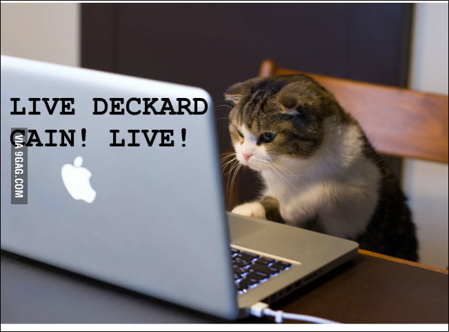 Diablo cat - 9GAG