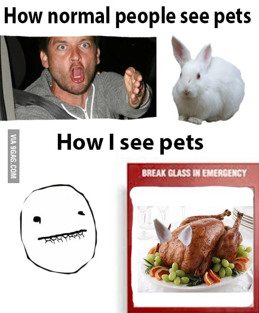 How I see pets - 9GAG
