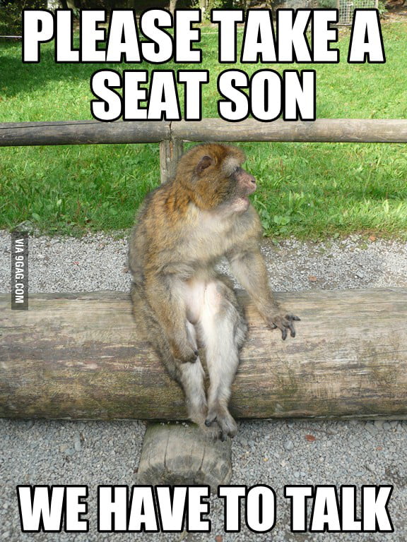 Monkey Bench - 9GAG